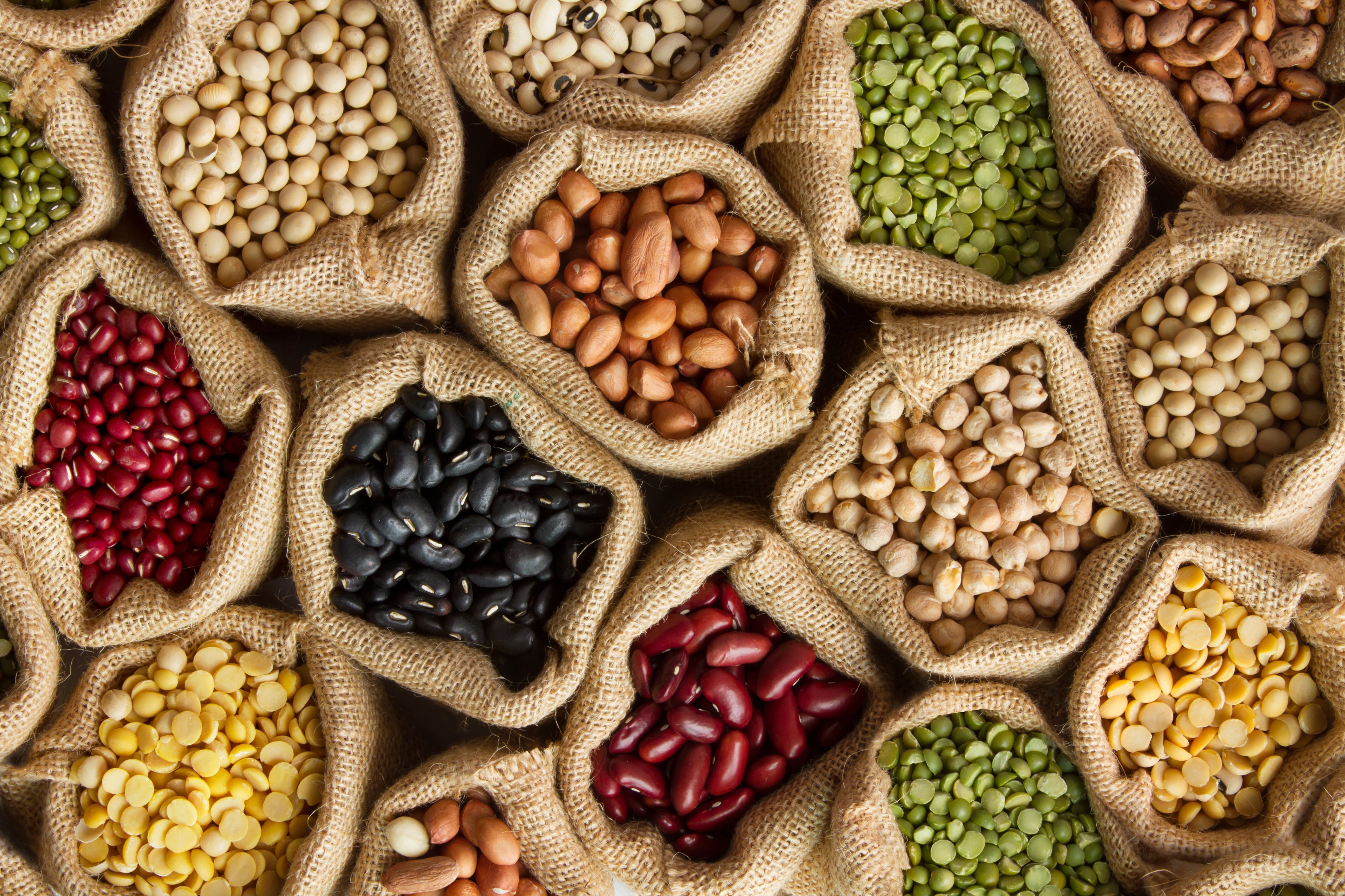 Edible Beans – Shop FSS
